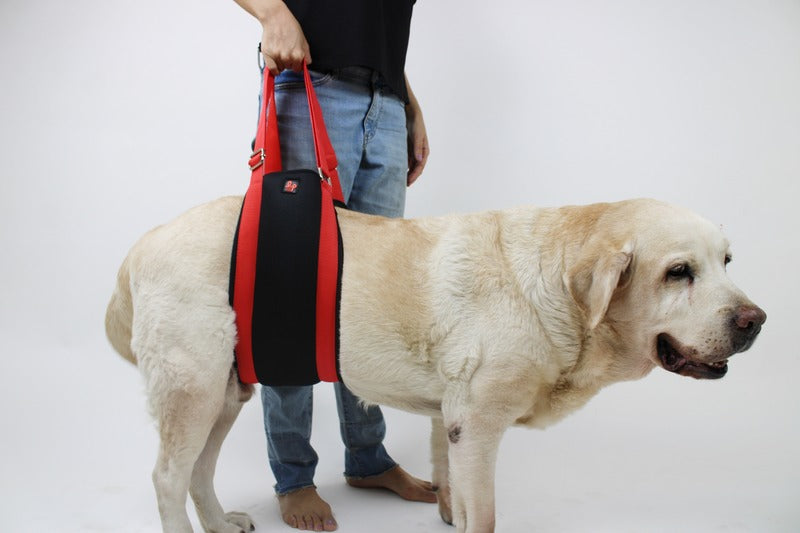 Dog Sling For Back or Hind Leg Lifting Support, Hip Support For Dogs ...