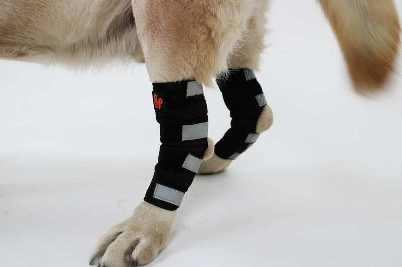 Lana Paws Dog Hind Leg Hock Joint or Ankle Braces/ Walking Support