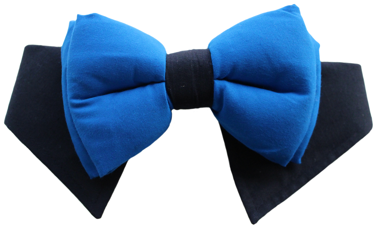 Buy dog bow collars online in India l Lana Paws
